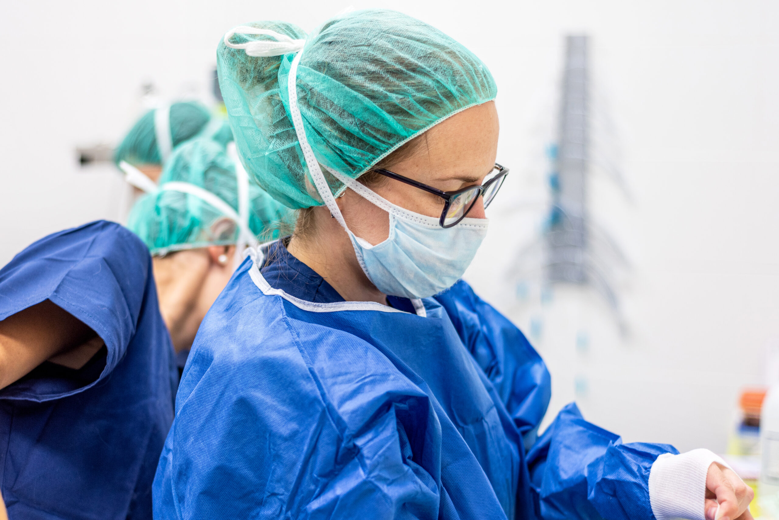 I nostri servizi - Gabbiano 2.0 Cooperativa Sociale ONLUS